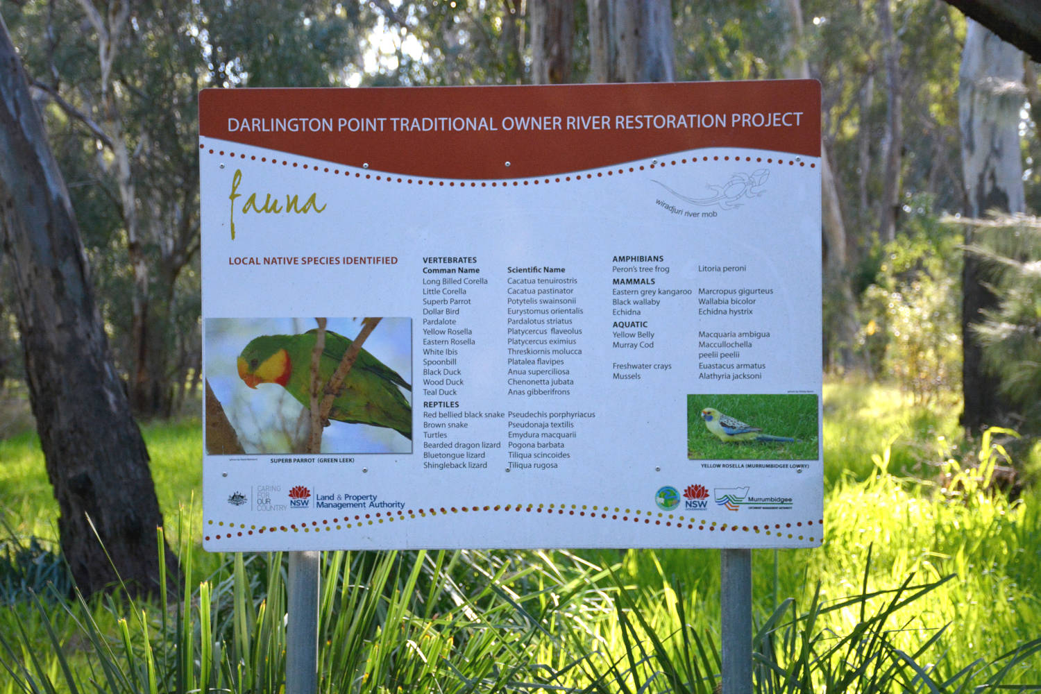 Drives - Visit Darlington Point